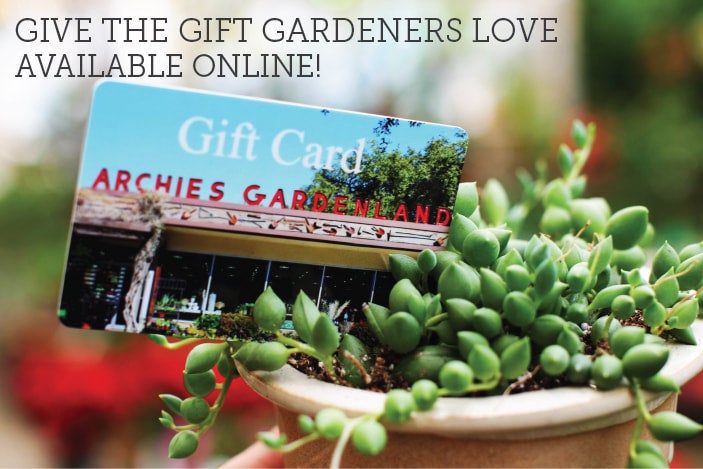Gift Cards - In-Store Pickup ONLY | Archie's Gardenland